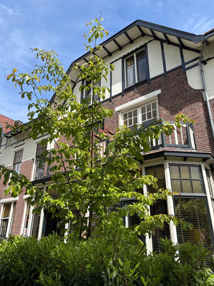 Ruim En Karaktervol Familiehuis Dichtbij De Stad - Deventer