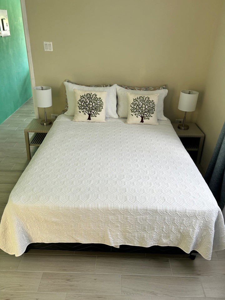 Modern, Cozy 1br - Near Airport, Oistins & Embassy - Barbados