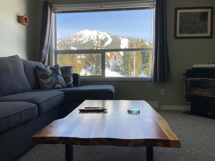 Upgraded One Bedroom Condo On Mount Washington - Vancouver Island