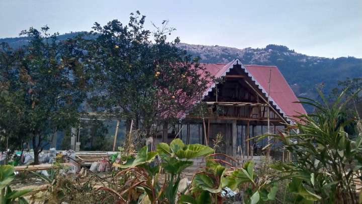 Yankhu Tea Farms & Homestay - Darjeeling