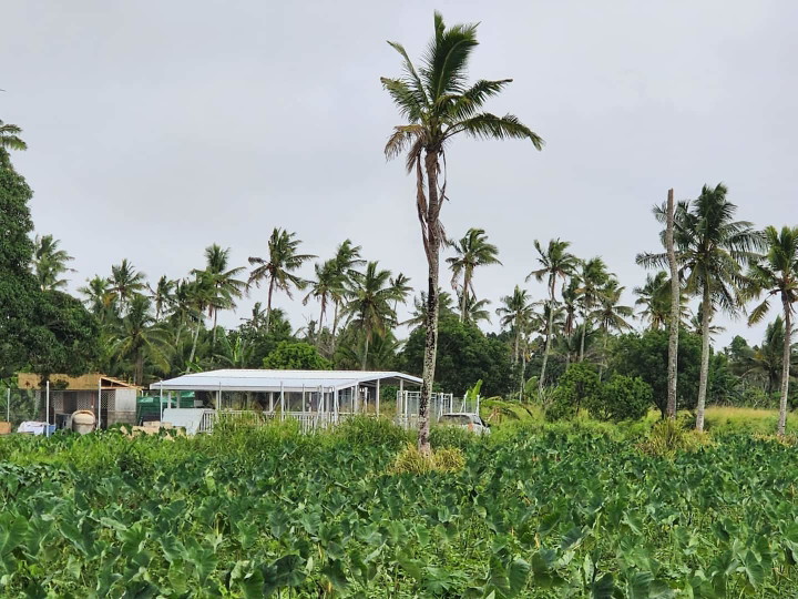 Short Stay Comfort (Fualu Home) - Tonga