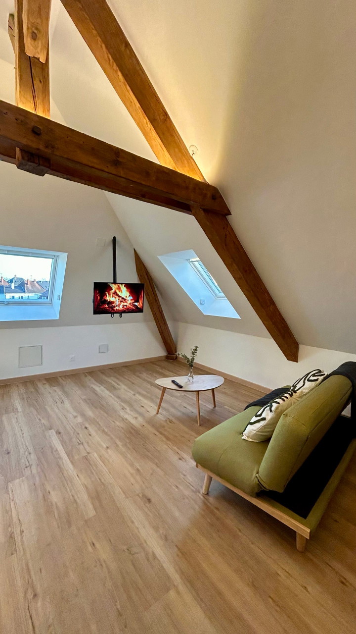 Bright Cozy Loft In Colmar - Colmar
