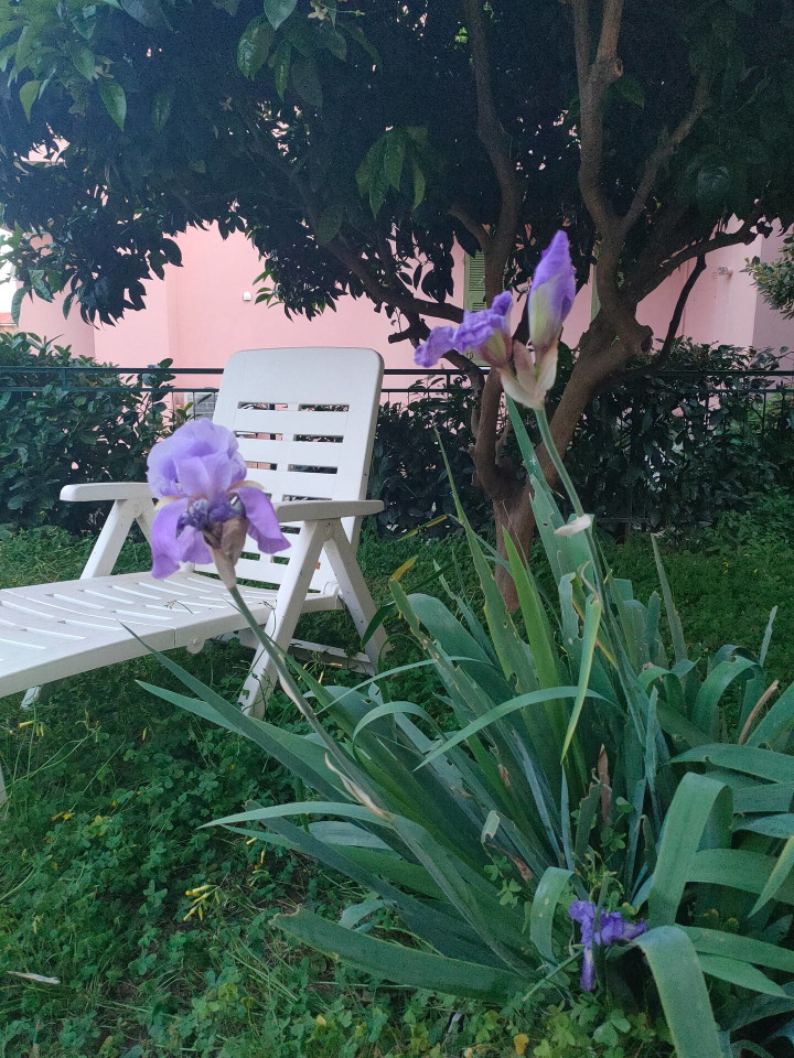 The House Of The Cri Two By The Sea - Pietra Ligure