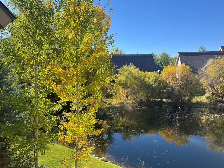 Entire Townhouse Minutes From Targhee. No A/c - Idaho (State)