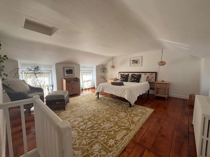 Manayunk Artist Home (Entire Home) - Bryn Mawr, PA