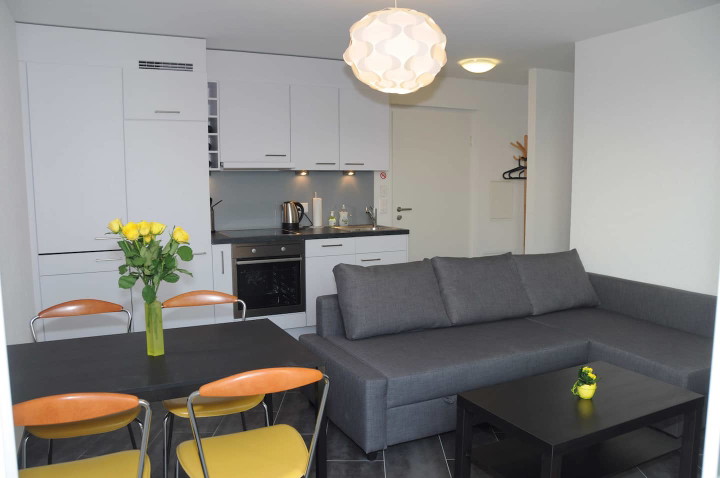 App. 1,5 P. & Terrasse / Genève & Lausanne à 30min - Canton de Vaud