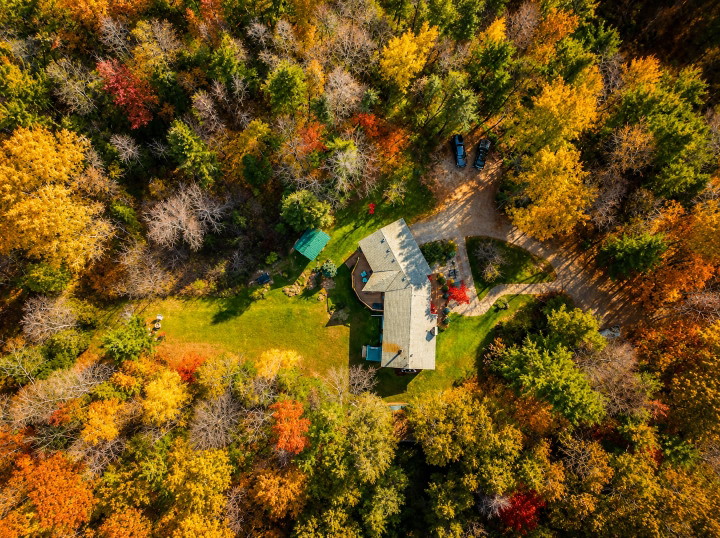 Gorgeous Fall Forest Escape 50 Mins From Toronto - Port Perry