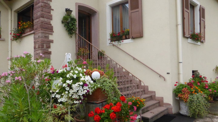 Gite Lit De La Petite Venise  /  Parking & Jardin - Colmar