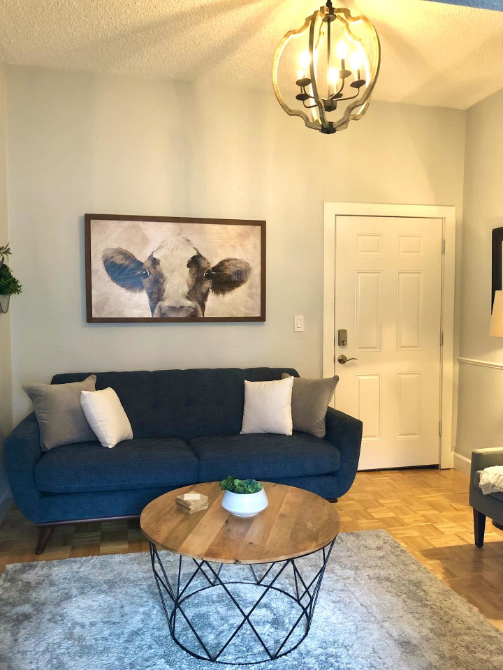 Overlooking Downtown Dunedin Two Bedroom Apartment - 더네딘