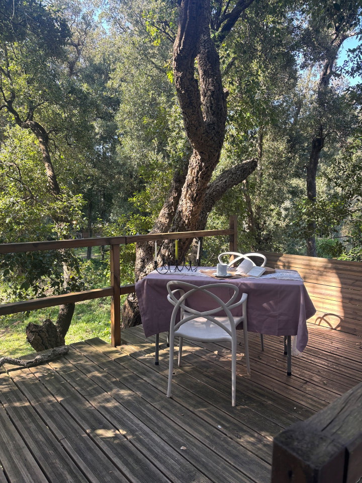 Cabane Dans Les Arbres - Cap Corse