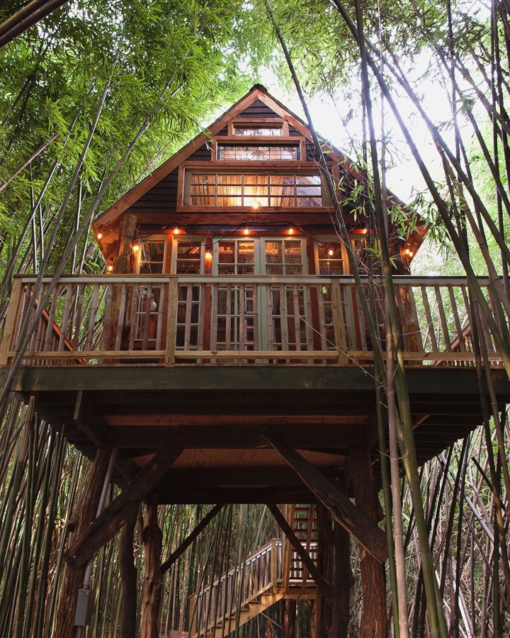 Alpaca Treehouse | Private | Urban Farm | Netflix - Atlanta, GA
