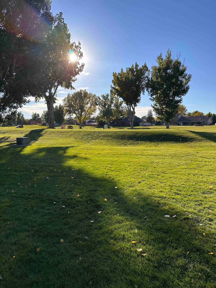 Paradise Tees #3 By O.c.g. - Casper, WY