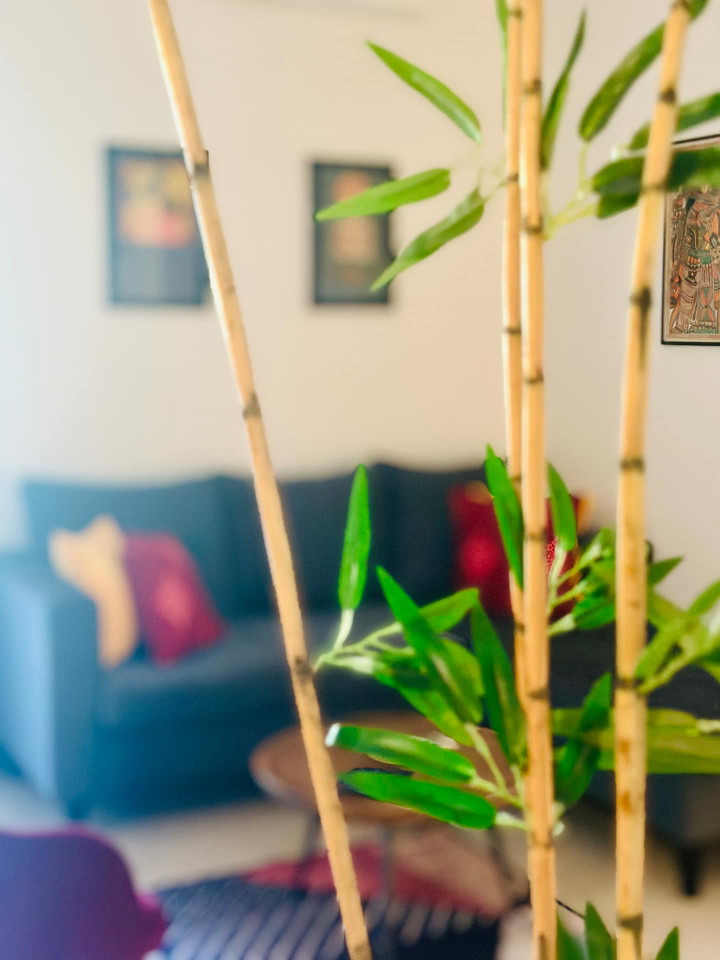 Thiruvanmiyur Cosy 2bhk - Chennai