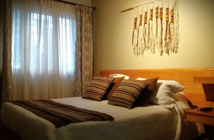 Cozy Lastarria Downtown Apartment - Santiago