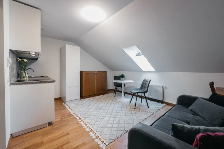 Appartements Lofts Près De La Place De La Cathédrale - Vilnius