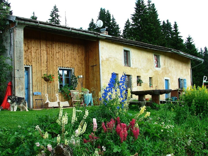 Appartement Dans Ancienne Ferme Isolée - Jura