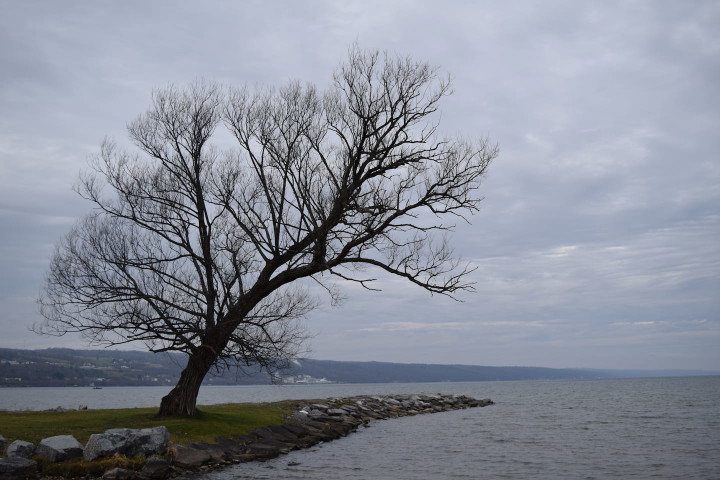 Spacious Apartment Near Waterfront. - Watkins Glen, NY