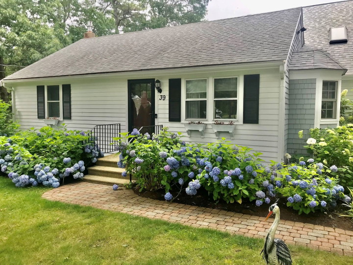 Cape Cod Getaway - Close To Beaches, Shopping And More - Capo Cod, MA