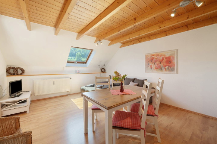 Ferienwohnung 3, 65 Qm, Balkon - Biesheim