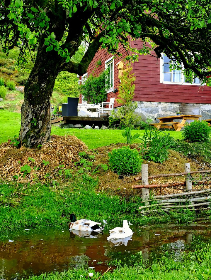 Idyllisk Gårdsvilla Ved Fjord Og Fjell - Norvegia