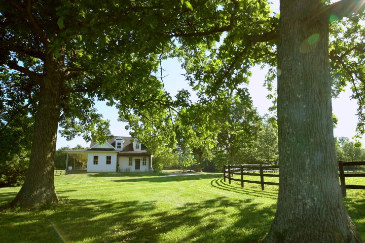 Saxony Farm - The Dew Drop In - Lexington, KY