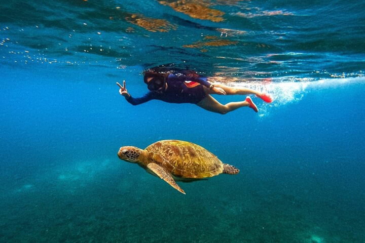 Divers Base Koh Tao | Next To Dive School & Beach - Ko Tao