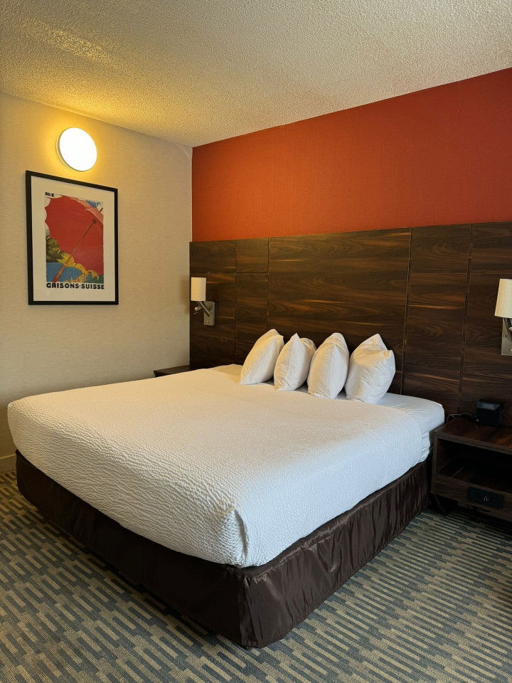 King Room - Medicine Hat