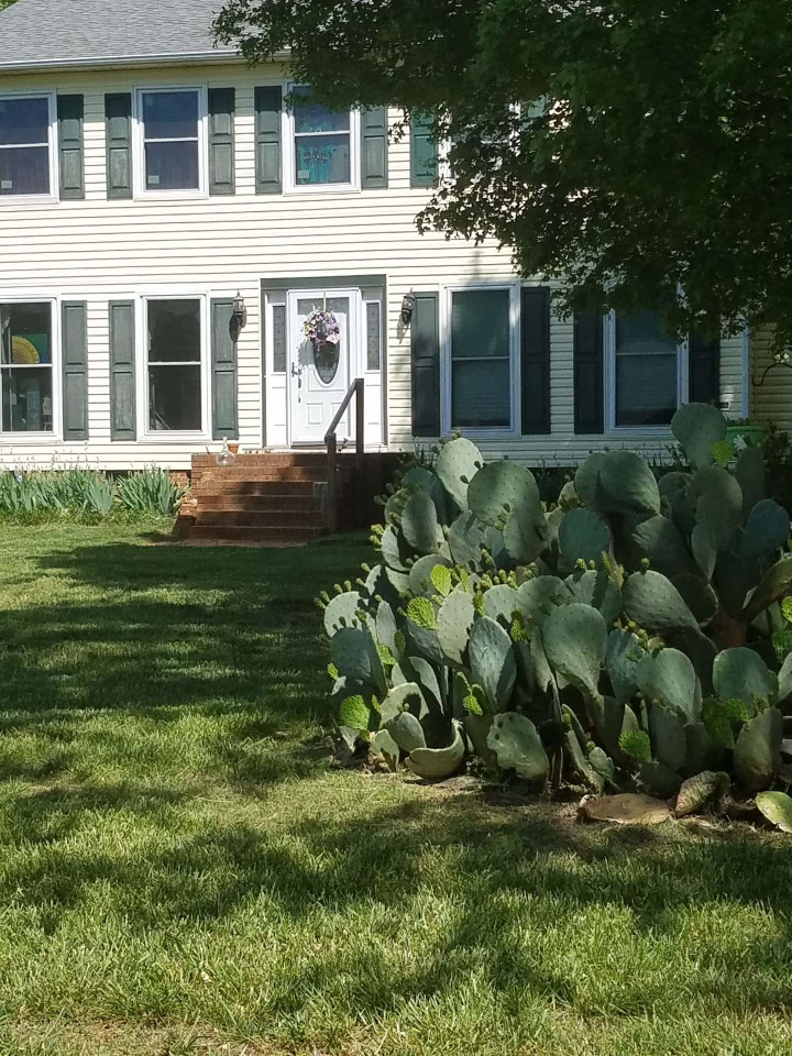 Studio Space For Long Term Stay, 3 Months Or More. - Rock Hill, SC