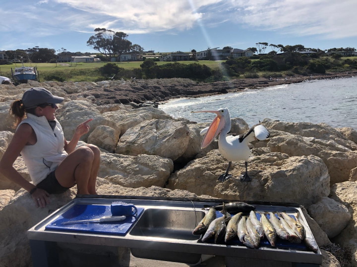 A World Away At Emu Bay! - Australia