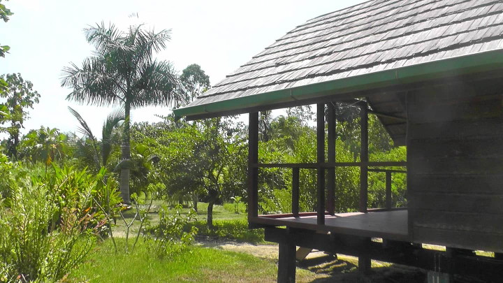 Boxel Boes Belanda, A Private Stay In A Quiet Park - Suriname