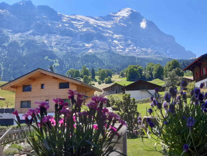 Chalet Friedrich - Grindelwald