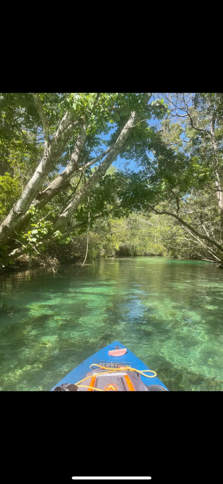 Roc & Rol River Retreat And Full Rv Hook Up - Spring Hill, FL