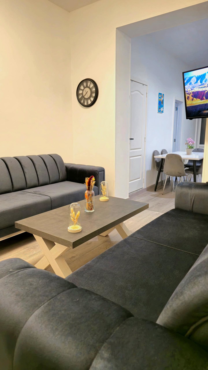 Appartement Spacieux Avec Wifi, Netflix Et Cuisine à La Gare Du Midi - Bruxelles