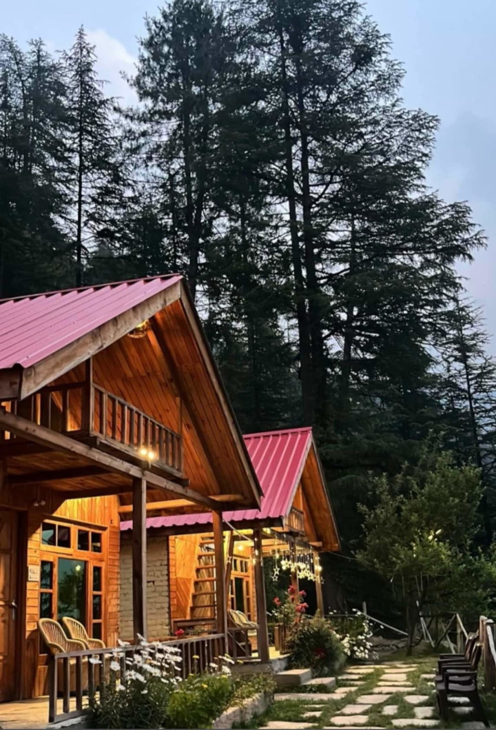Himalayan Cedar Nest In Sainj Valley - Lahaul And Spiti
