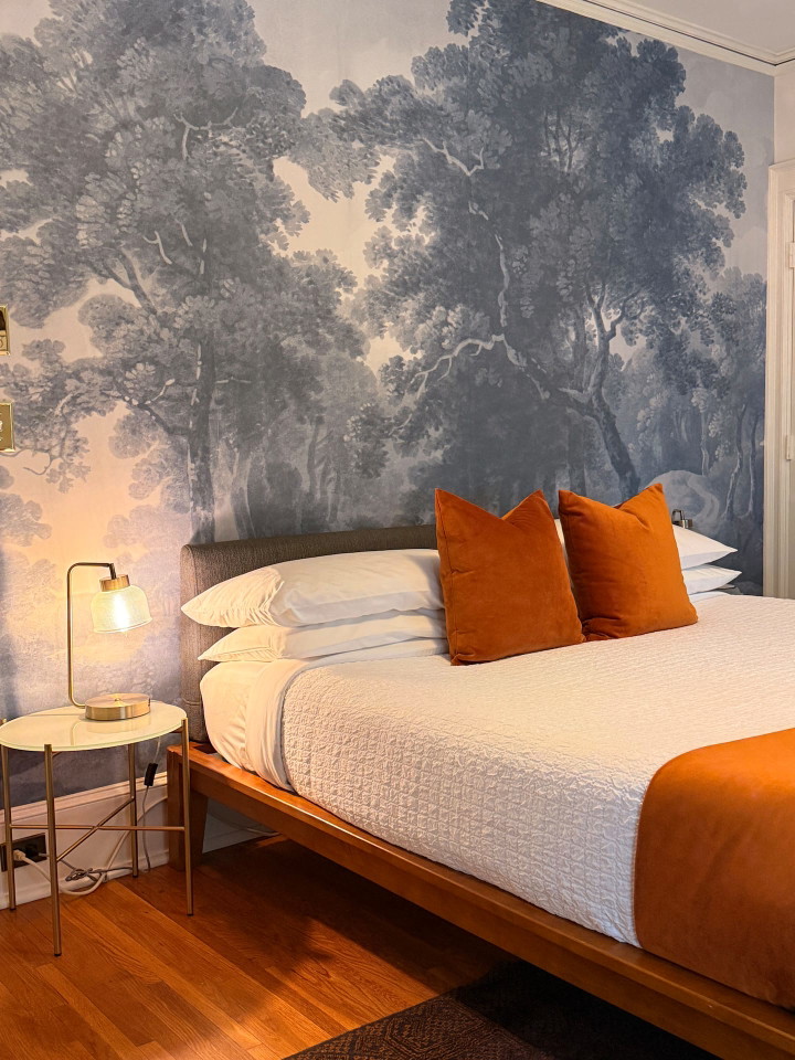 Boutique Room @16 Elm An Historic Mansion - Finger Lakes, NY