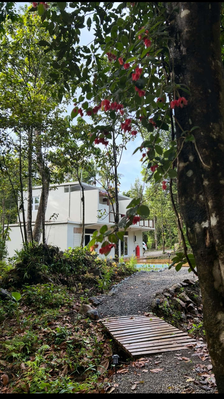Arcadia Luxury 3br Eco Villa With Mountain View. - Dominica