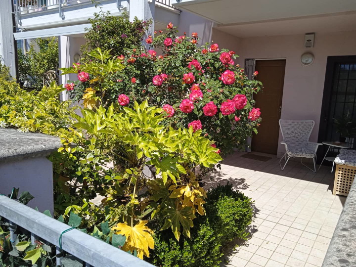 Promo! Airport And Station Retreat - Pise