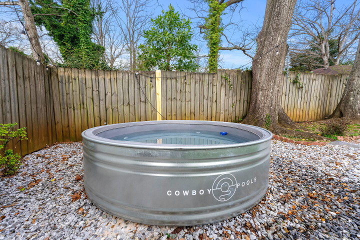 Heated Plunge Pool Bkyd Retreat! - Atlanta, GA
