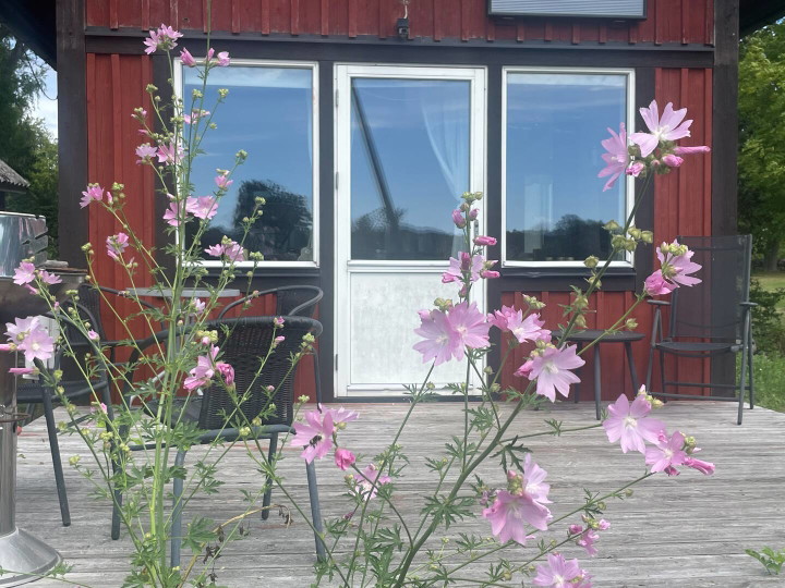 Archipelago Idyll On Aspö, Djupvik - Karlskrona