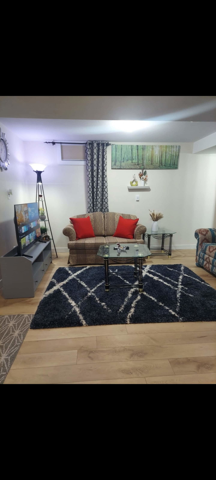 Emerald Place- 1 Bedroom Basement Suite. - Saskatoon