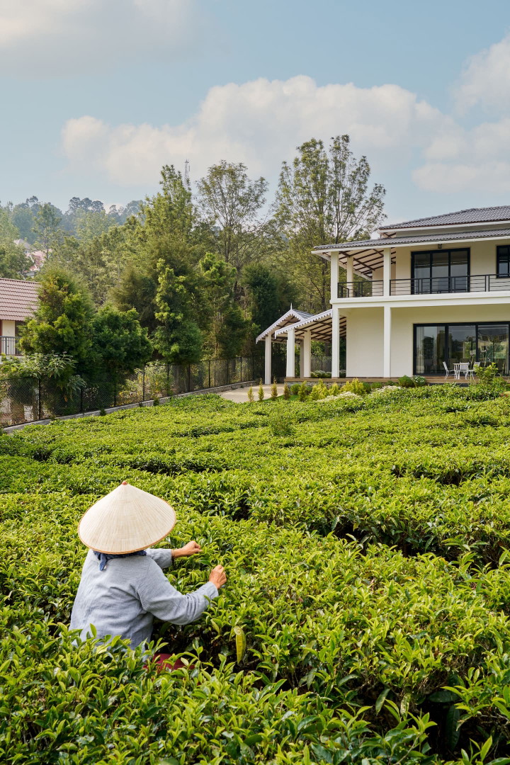 Hushstay X Windermere Bungalow - Coonoor