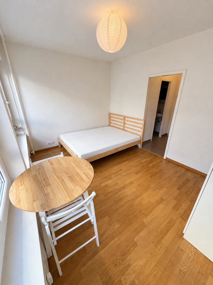 Cosy Studio For Long Stays Only - Genebra