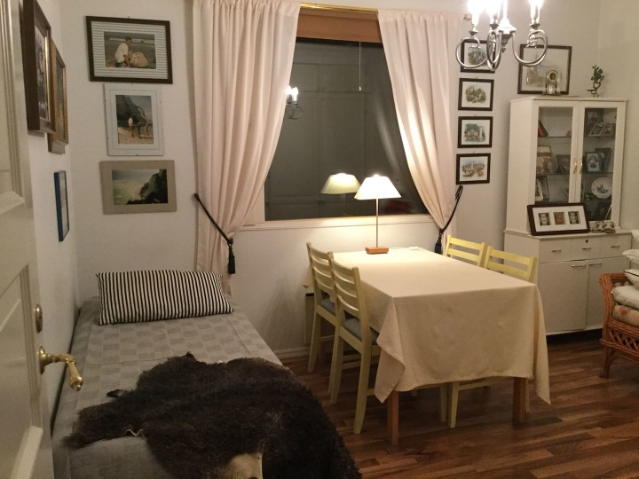 Single Room.wifi. Breakfast. Free Parking. - Vaasa