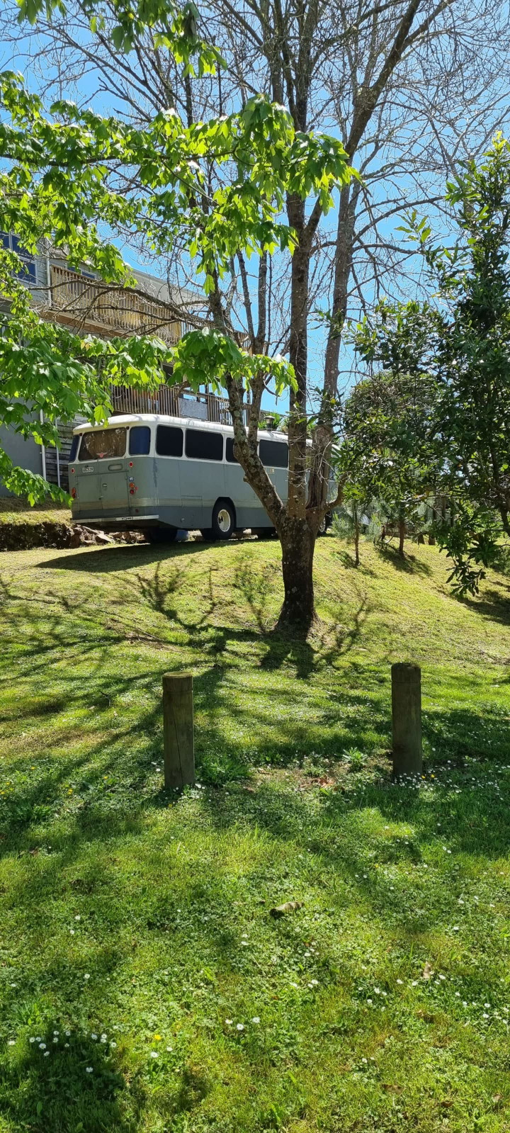 Bus At The Beach - Whangamatā