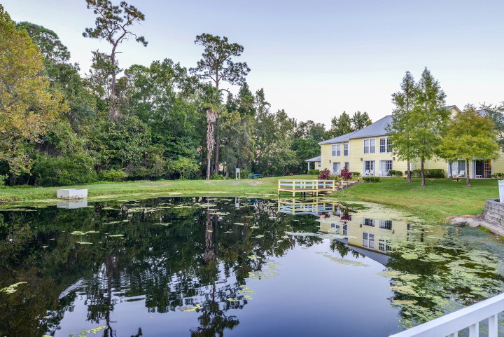 Two-bedroom Apartment- Prime Location! - Celebration, FL