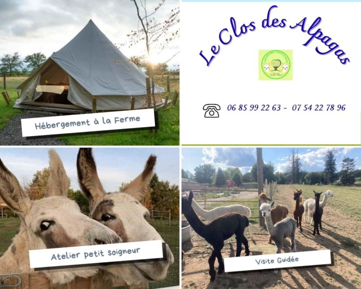 Tipi 4 Personnes - Ambazac