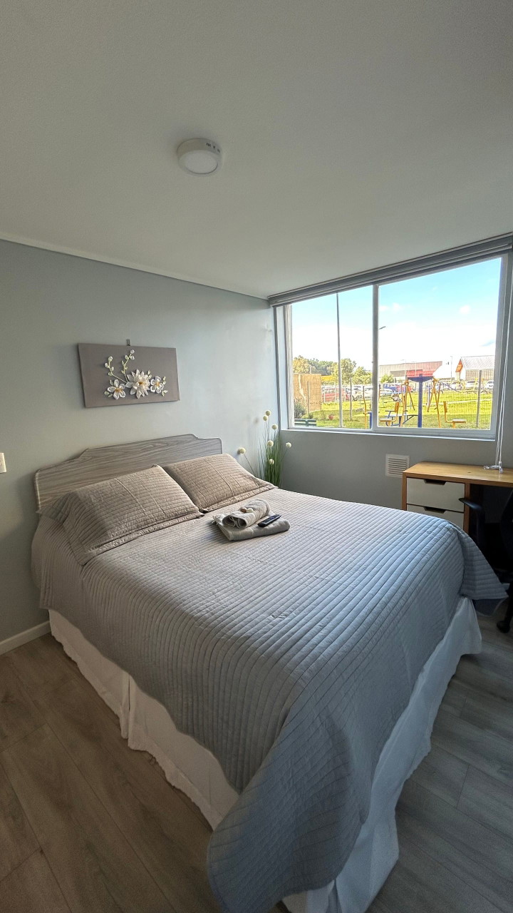 Cozy Apartment. In Osorno + Parking+wifi - Osorno