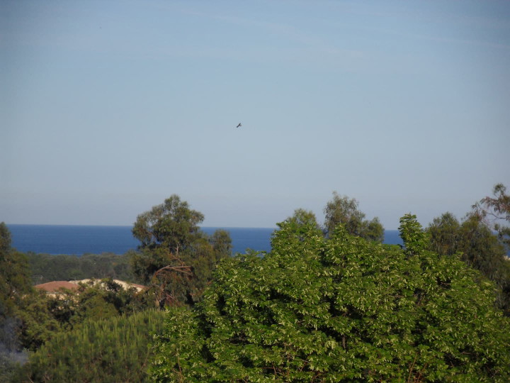 Spacious Ground Floor Of A Villa, Quiet, Close To The Beaches - Corsica