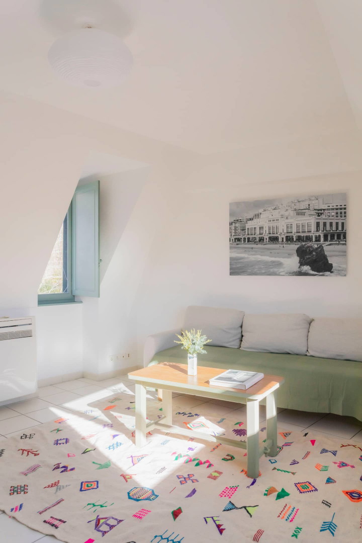 Beautiful Bright Apartment Facing The Thermal Baths - Salies-de-Béarn