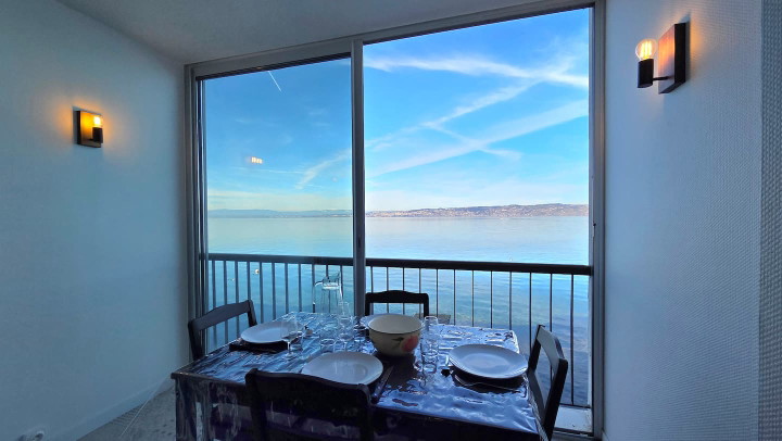 The Lake Geneva Pontoon - With Private Lake Access - Lugrin
